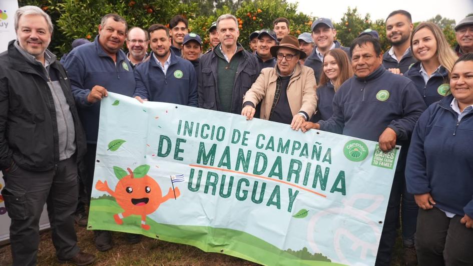 El sector citrícola proyecta un fuerte crecimiento y aumento en la ...